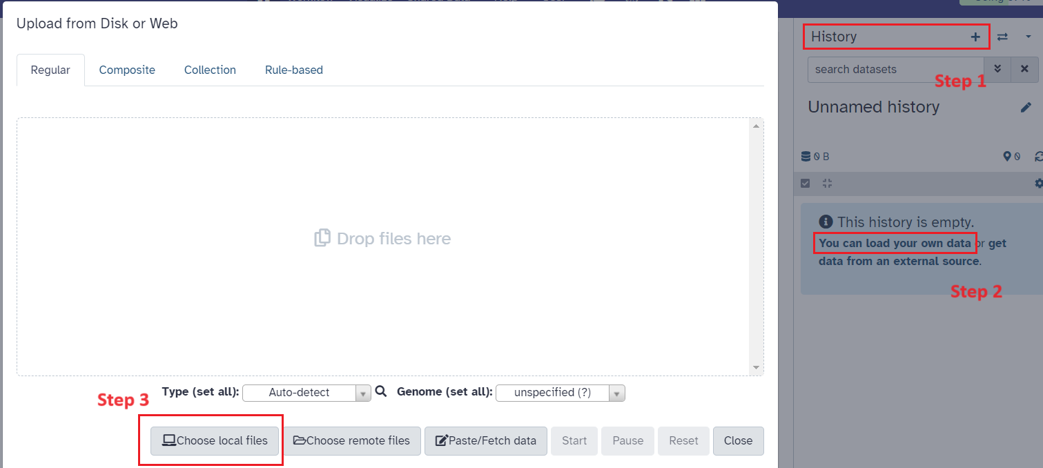 Genome Annotation Genome Annotation With Fgenesh How To Guides 9272