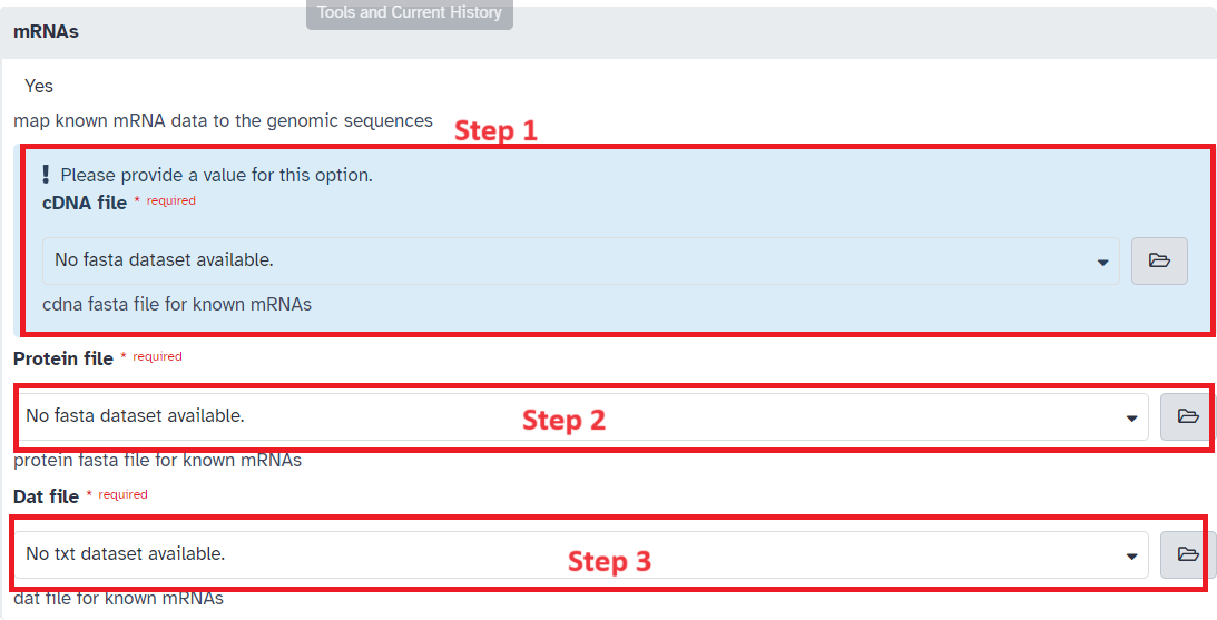 Genome Annotation Genome Annotation How To Guides