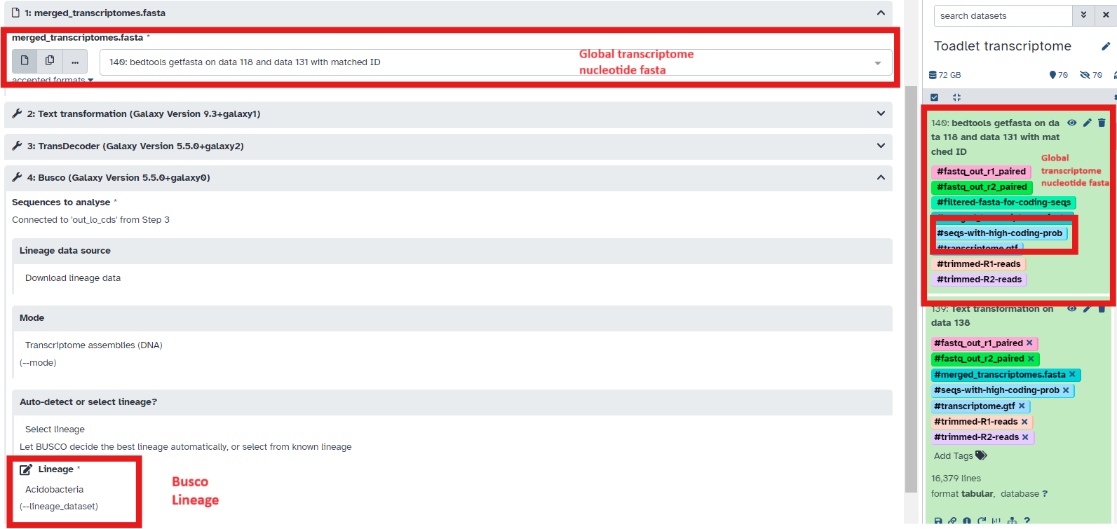 Genome-annotation: Transcriptome Alignment | How-to Guides