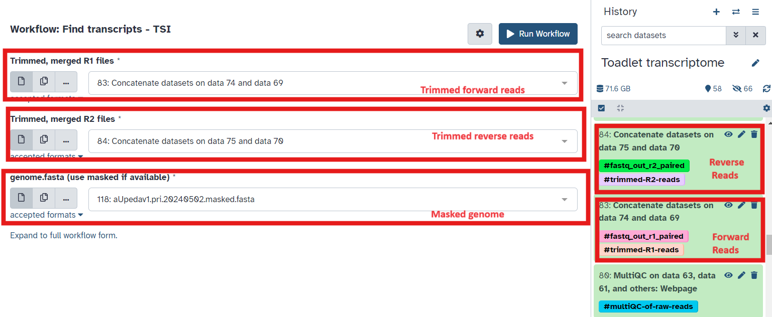 Genome Annotation Transcriptome Alignment How To Guides